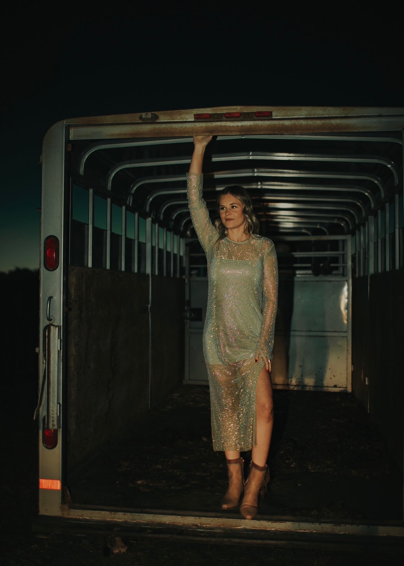 Gentry Rhinestone Dress – Vintage Buckskin Boutique